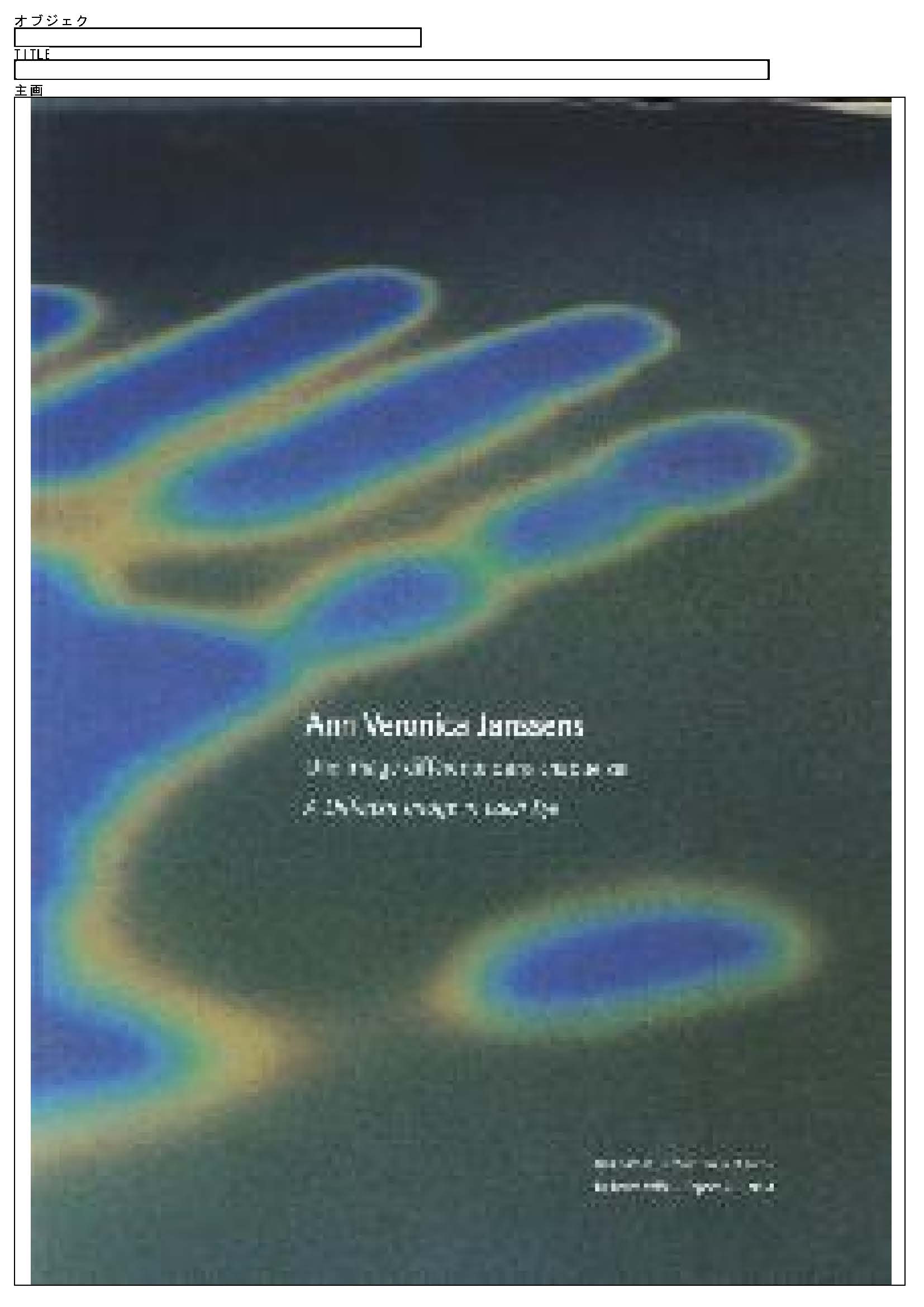 ANN VERONICA JANSSENS: UNE IMAGE DIFFERENTE DANS CHAQUE OEIL / A ...